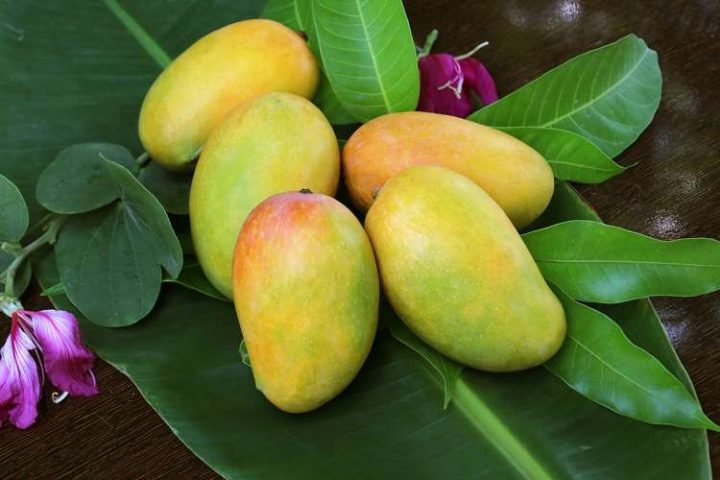 MGNREGA: States should follow Jharkhand’s BHGY lead | Policy Circle