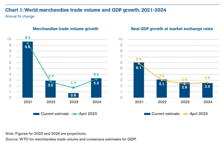 WTO report sheds light on global trade challenges | Policy Circle