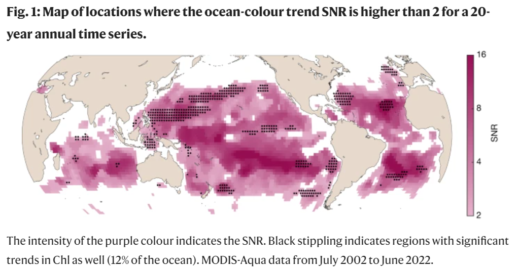 Oceans change colour as climate change alters marine life | Policy Circle