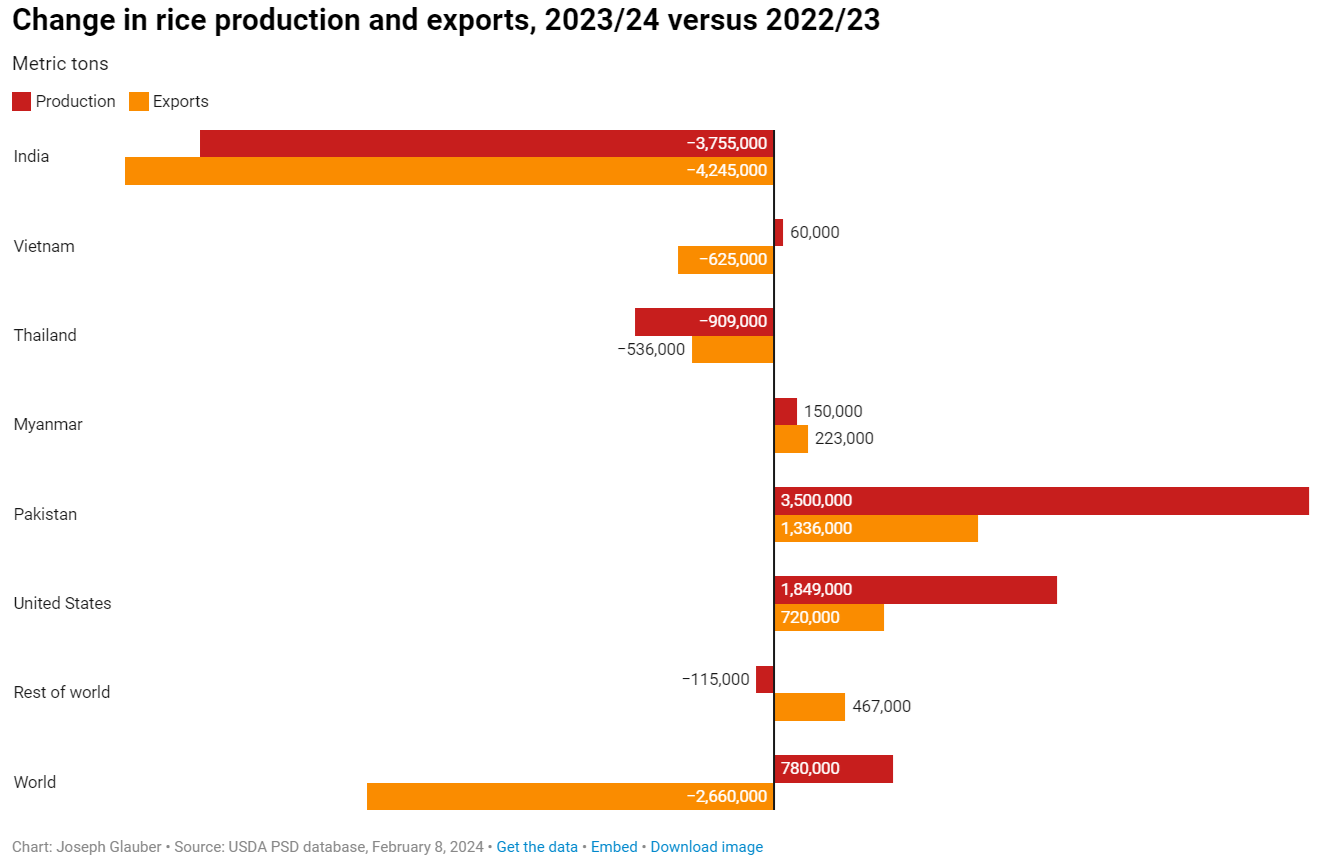 Explained: India's rice export curbs amid global challenges | Policy Circle